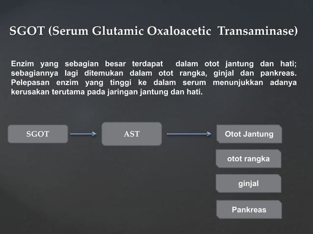 Serum Glutamic Transaminase Piruvat PPTX | PPTX