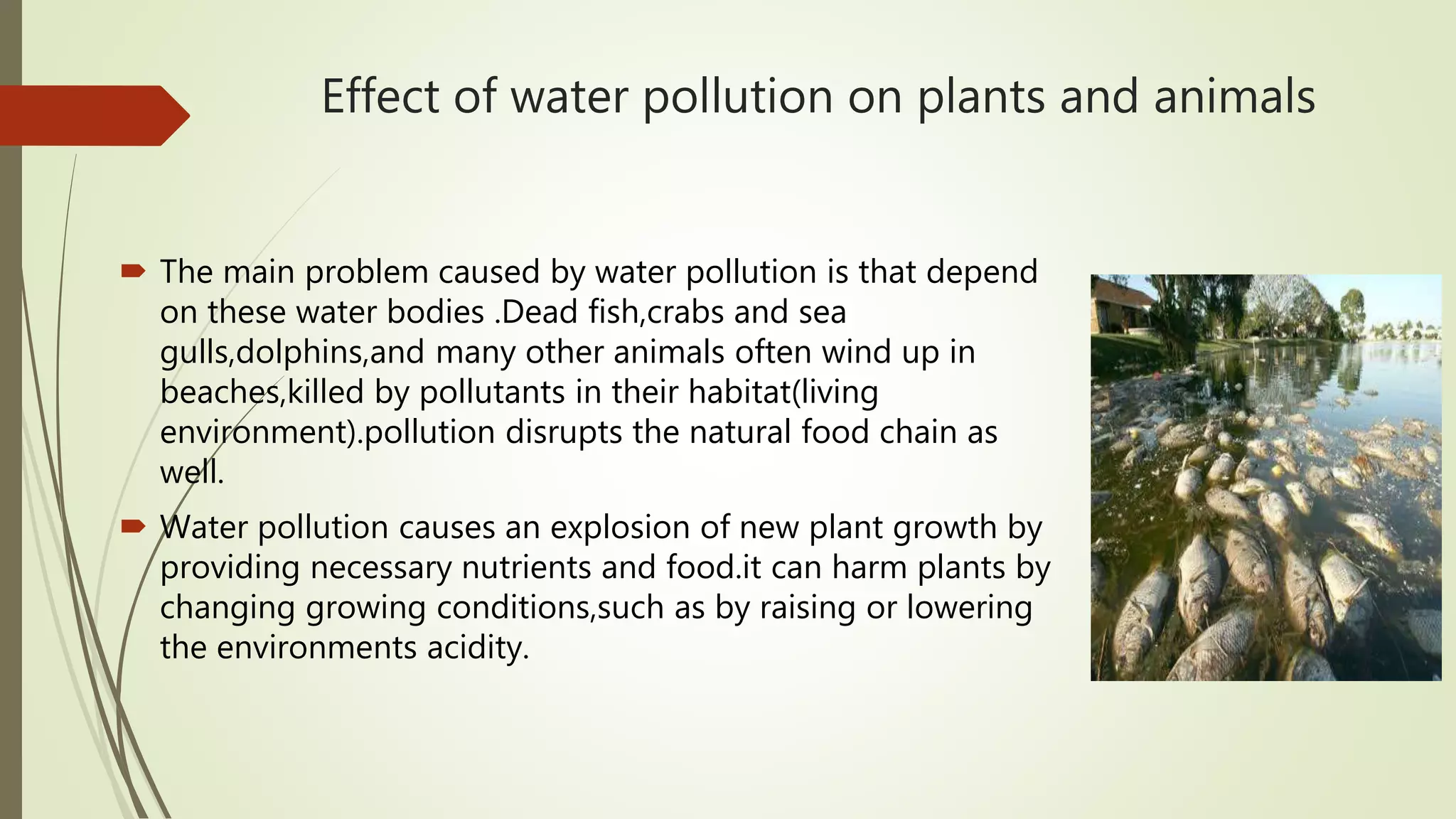 Water pollution | PPT