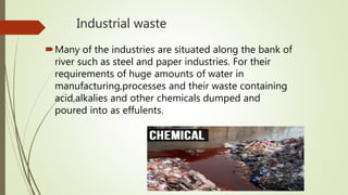 Water pollution | PPTX