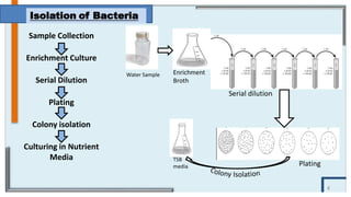 Asit Kumar Saha OIST | PPT