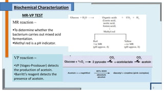 Asit Kumar Saha OIST | PPT