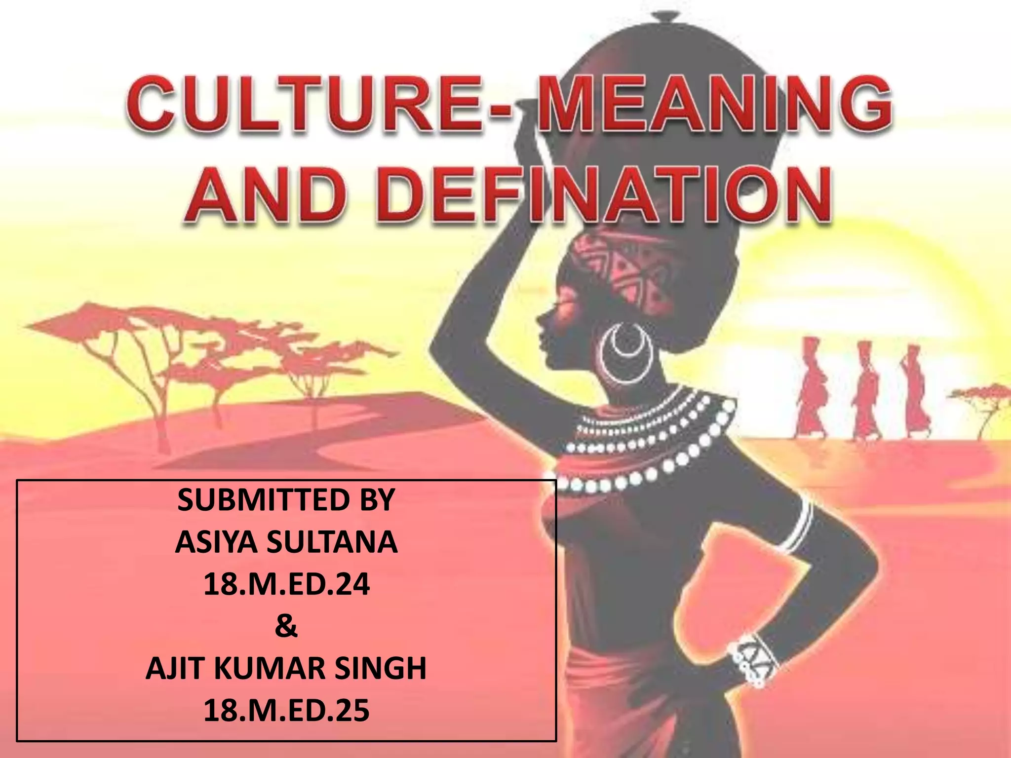 culture defination and meaning | PPTX
