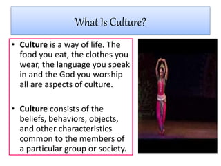 culture defination and meaning | PPTX