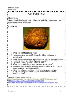 Ask a fossil | PDF