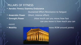 Everything you always wanted to know about Exercise but were afraid to ...