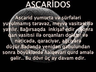 Askaridozun immun sistemə təsiri | PPTX