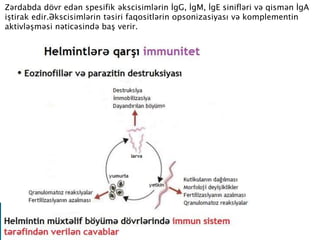 Askaridozun immun sistemə təsiri | PPTX