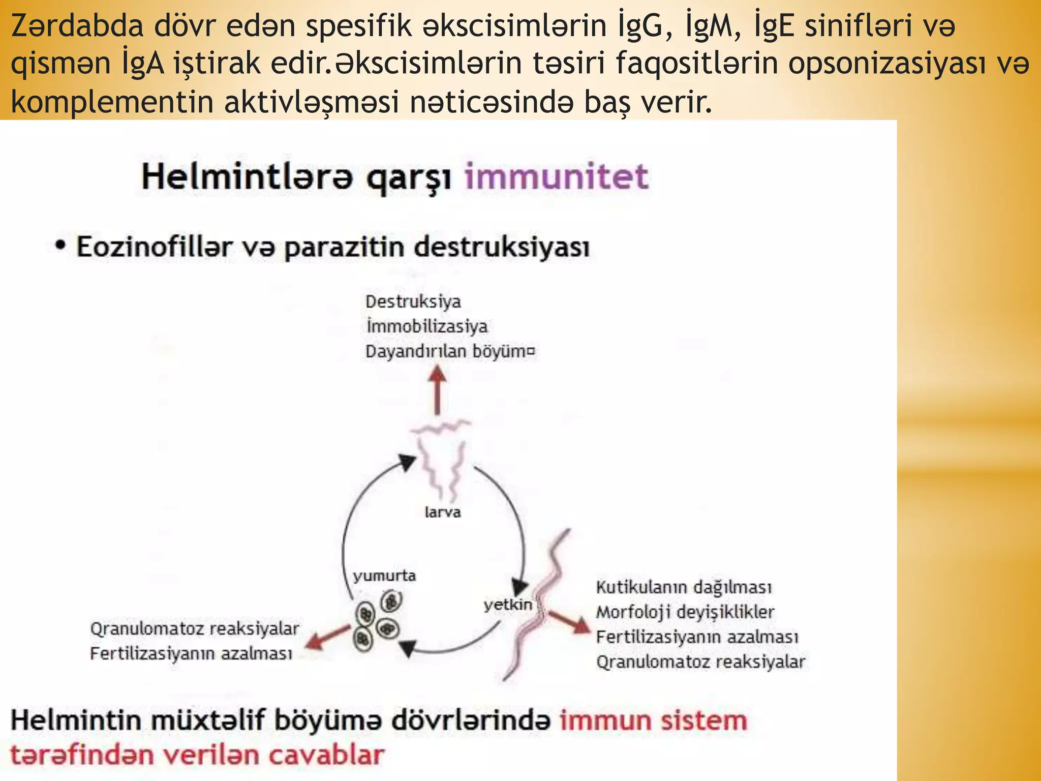 Askaridozun immun sistemə təsiri (2) | PPTX