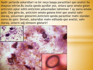 Askaridozun immun sistemə təsiri (2) | PPTX