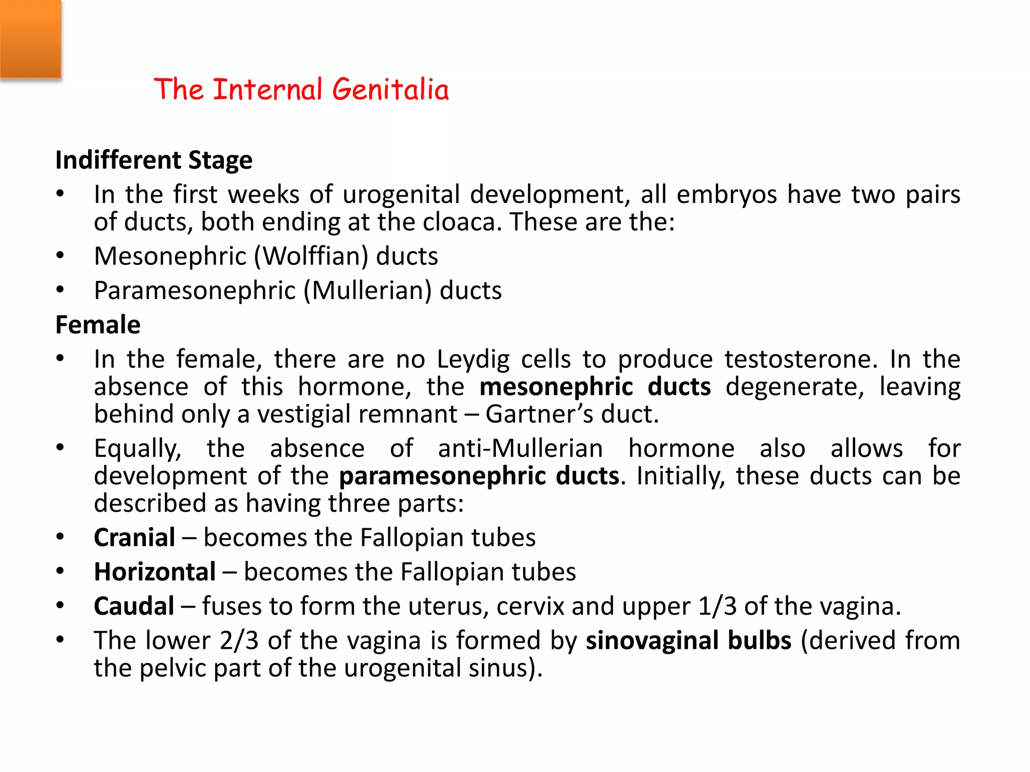 Askarova a. 412 gm. clinico physiological features of the female body ...