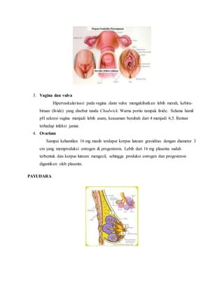 Perubahan anatomi fisiologi pada ibu hamil | PDF