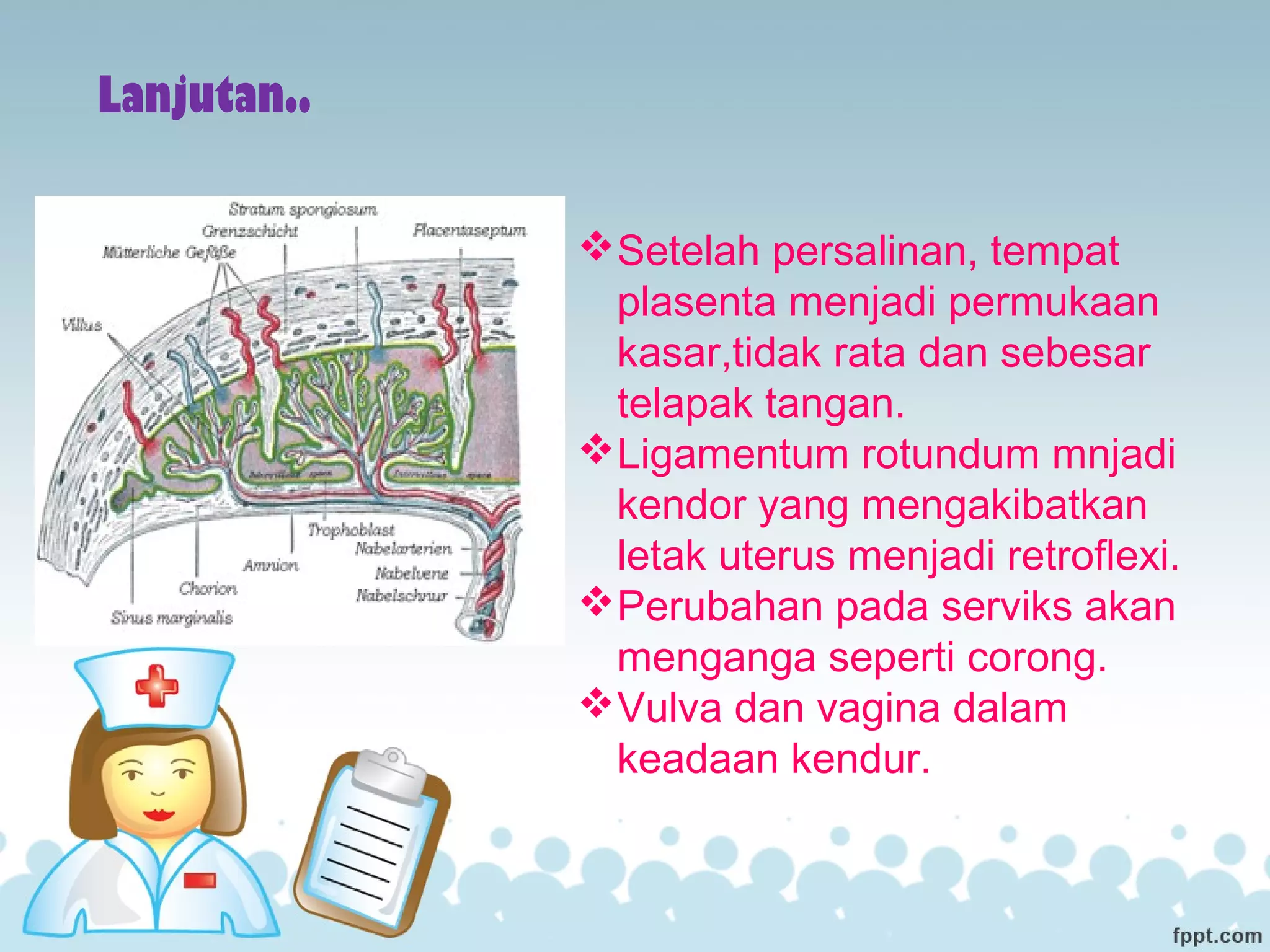 perubahan fisiologi masa nifas | PPT