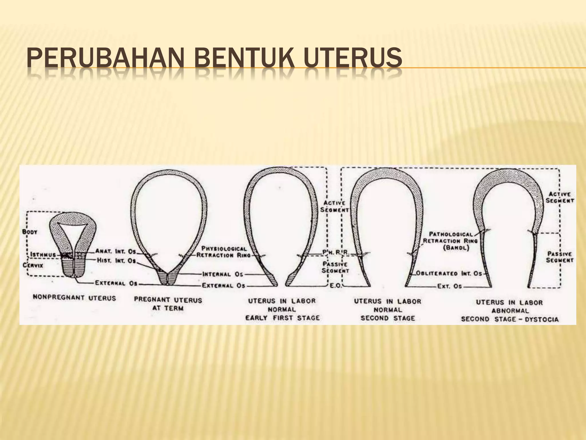 Askeb persalinan | PPTX
