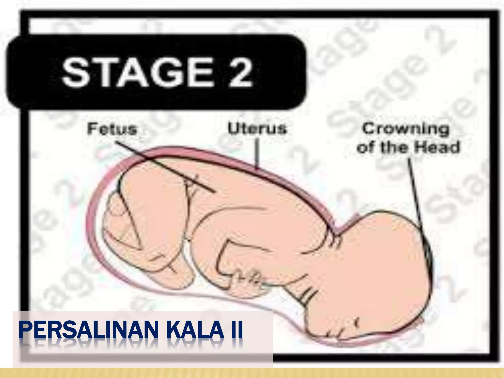 Askeb persalinan | PPTX