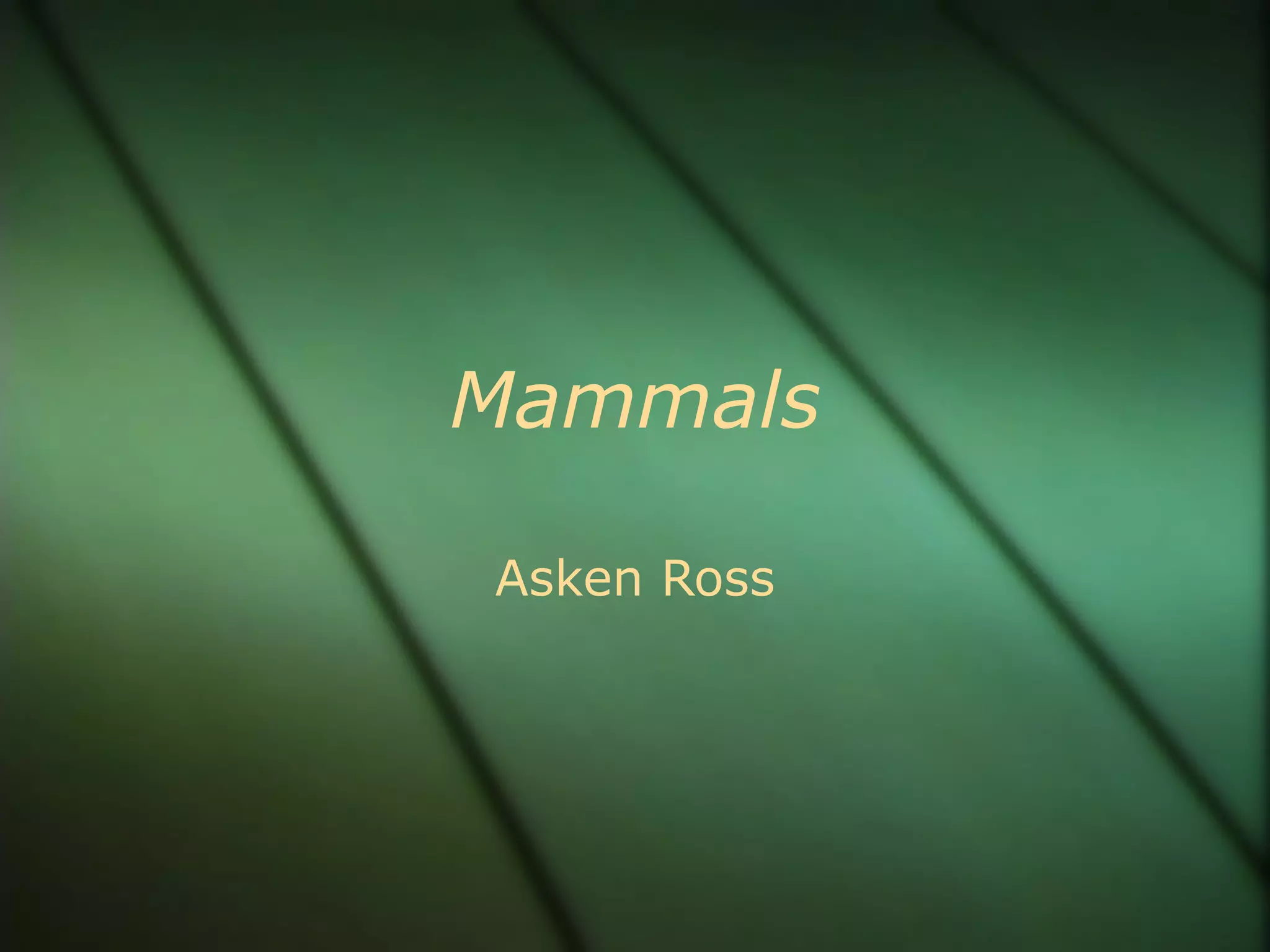 Asken Mammals | PPT