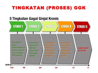 Askep Gagal Ginjal Akut & Kronik | PPT