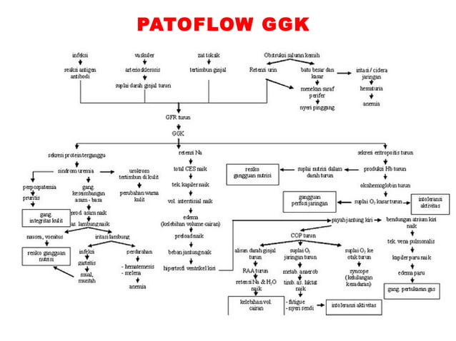 Askep Gagal Ginjal Akut & Kronik | PPT
