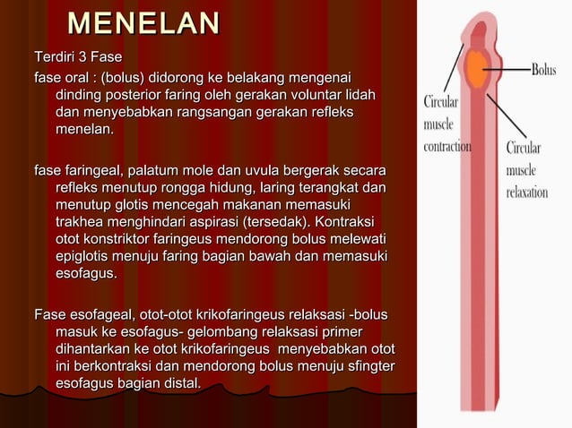 Askep ggn esofagus | PPT