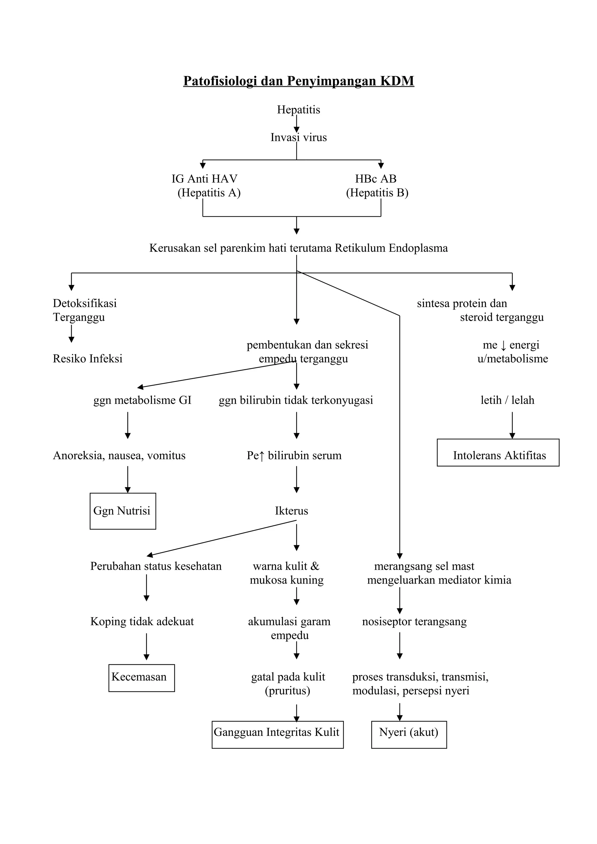 Askep hepatitis | PDF