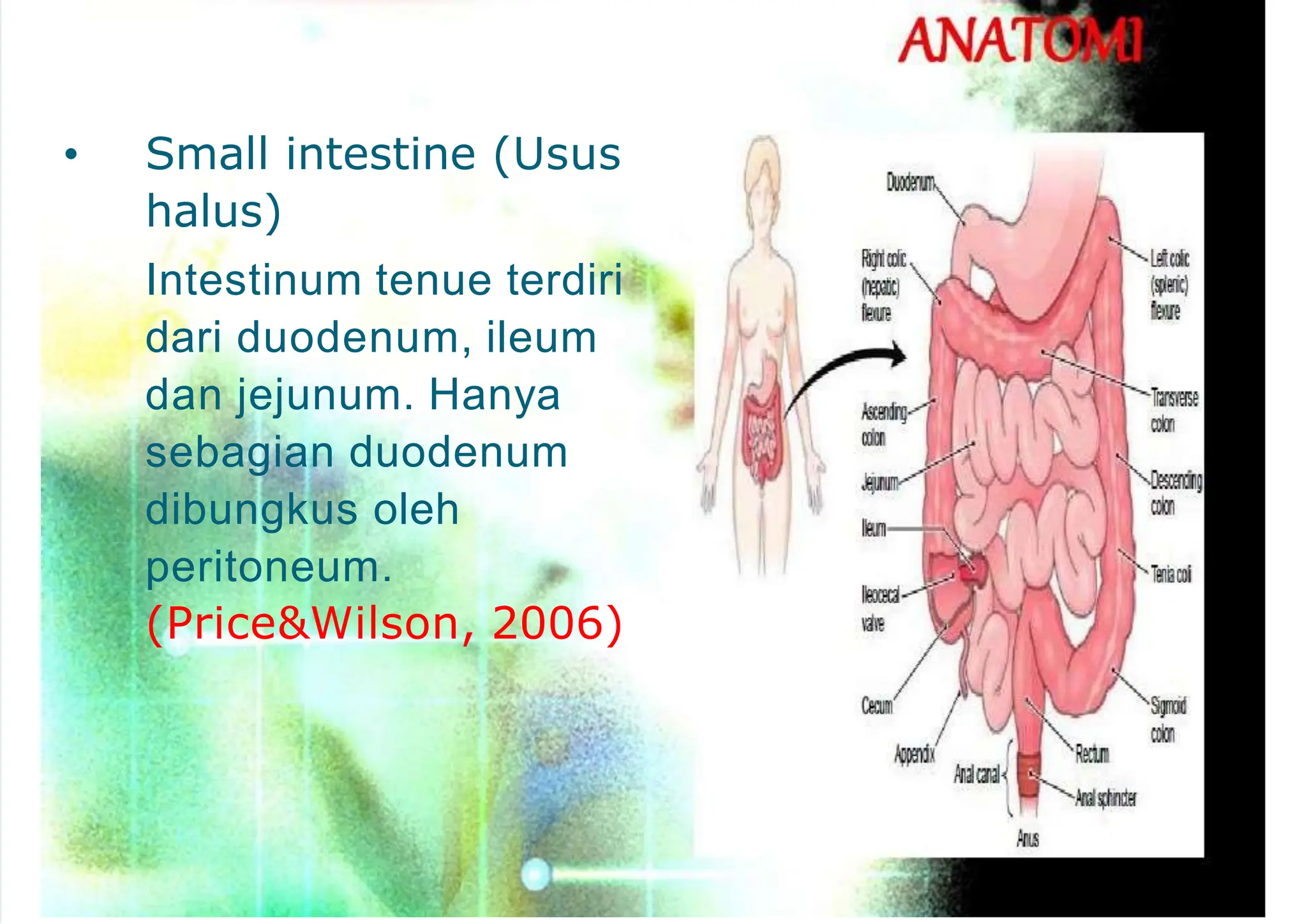 Askep Ileus Obstruksi.pdf