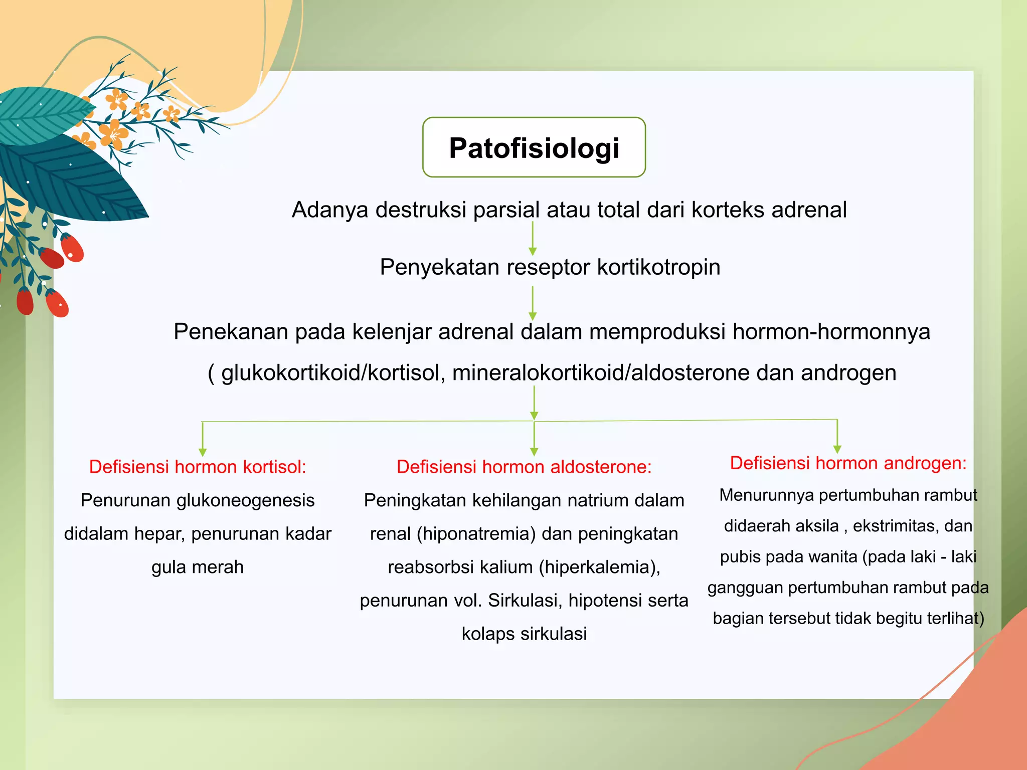 ASKEP Insufisiensi Adrenal.pptx