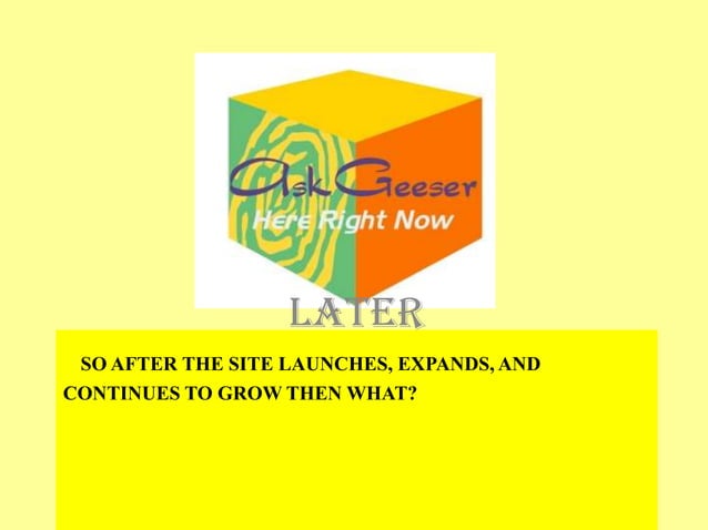 Ask geeser Overview | PPTX | Startups | Business