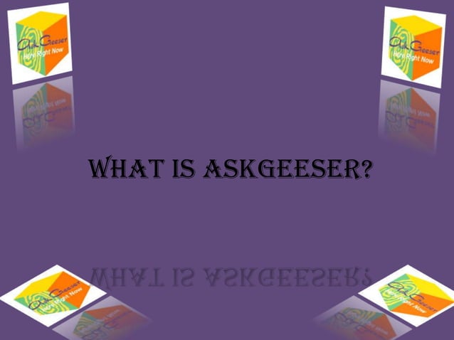 Ask geeser Overview | PPTX | Startups | Business