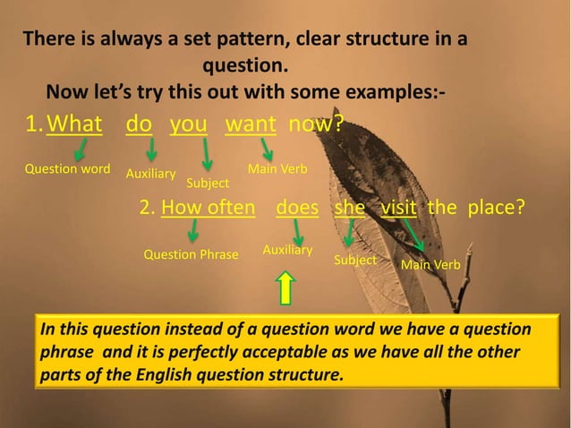 Asking Questions | Improving Q/A Skills | PPTX | Homework and Study ...