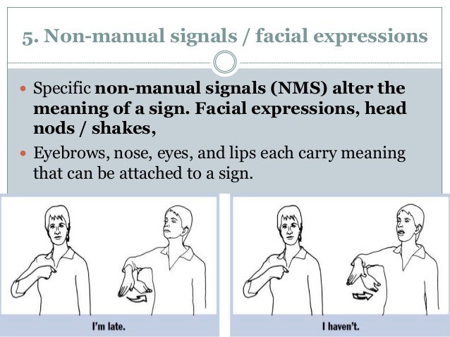 ASL basics