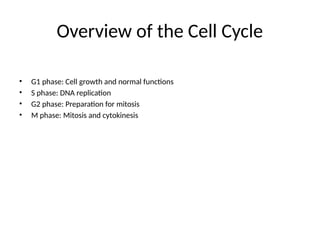 AS_Level_Biology_9700_Mitotic_Cell_Cycle.pptx