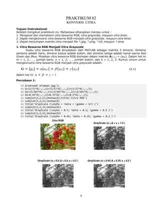 ASLI_ 16_MODUL PRAKTIKUM PENGOLAHAN CITRA DIGITAL v2023.pdf