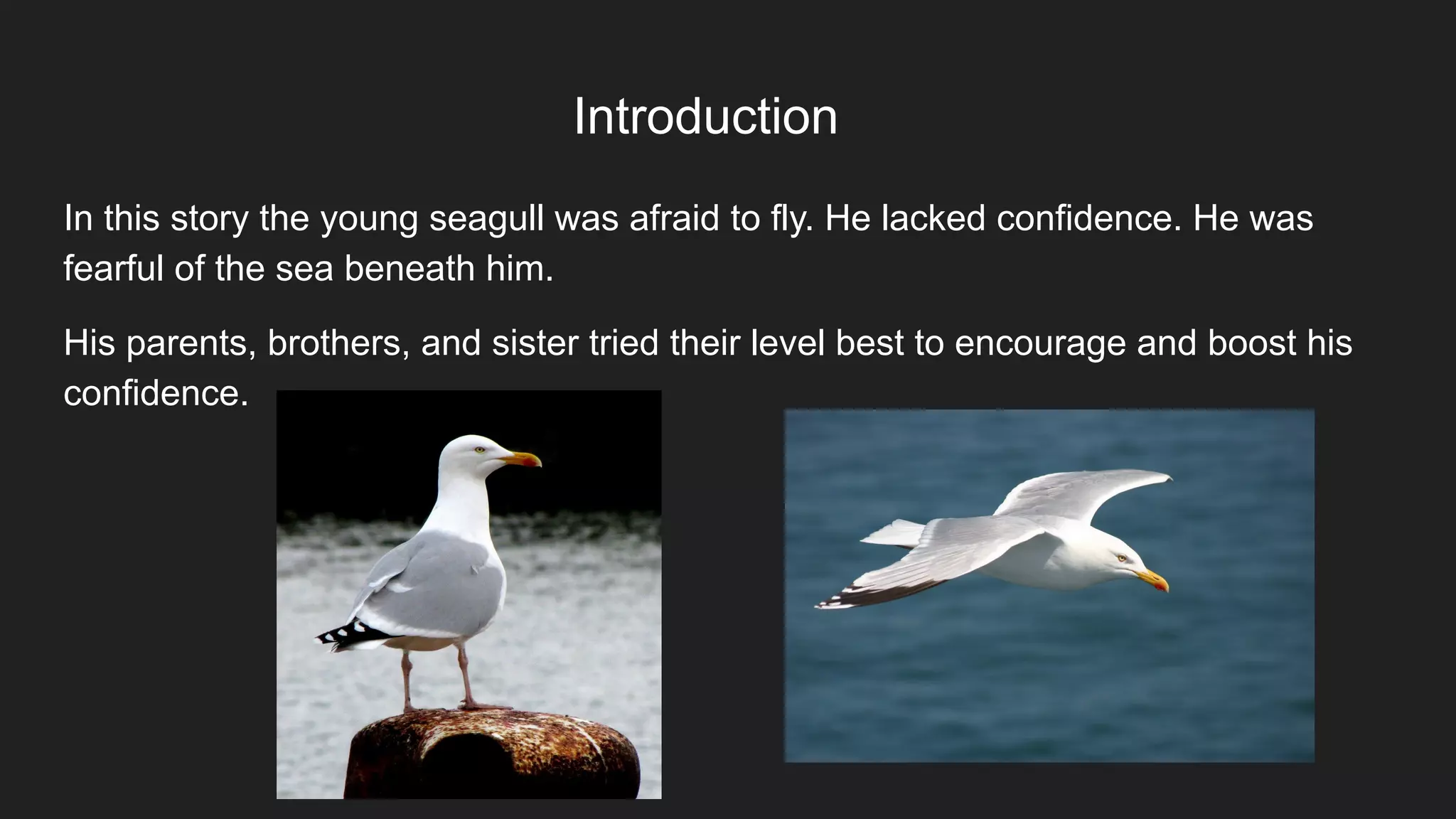 A presentation on the chapter ‘his first flight’ | PDF