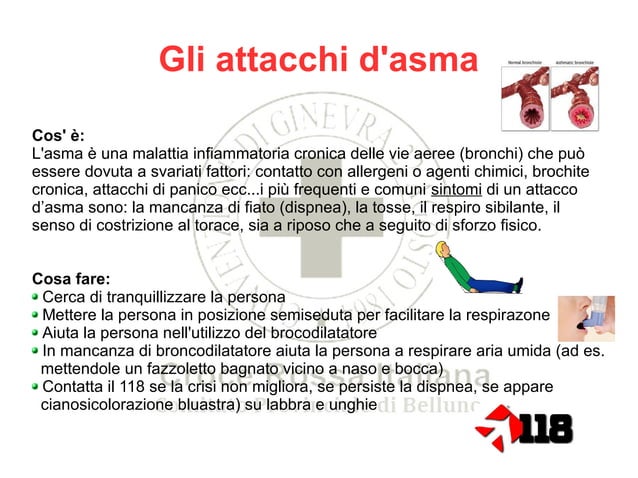 Asma | ODP