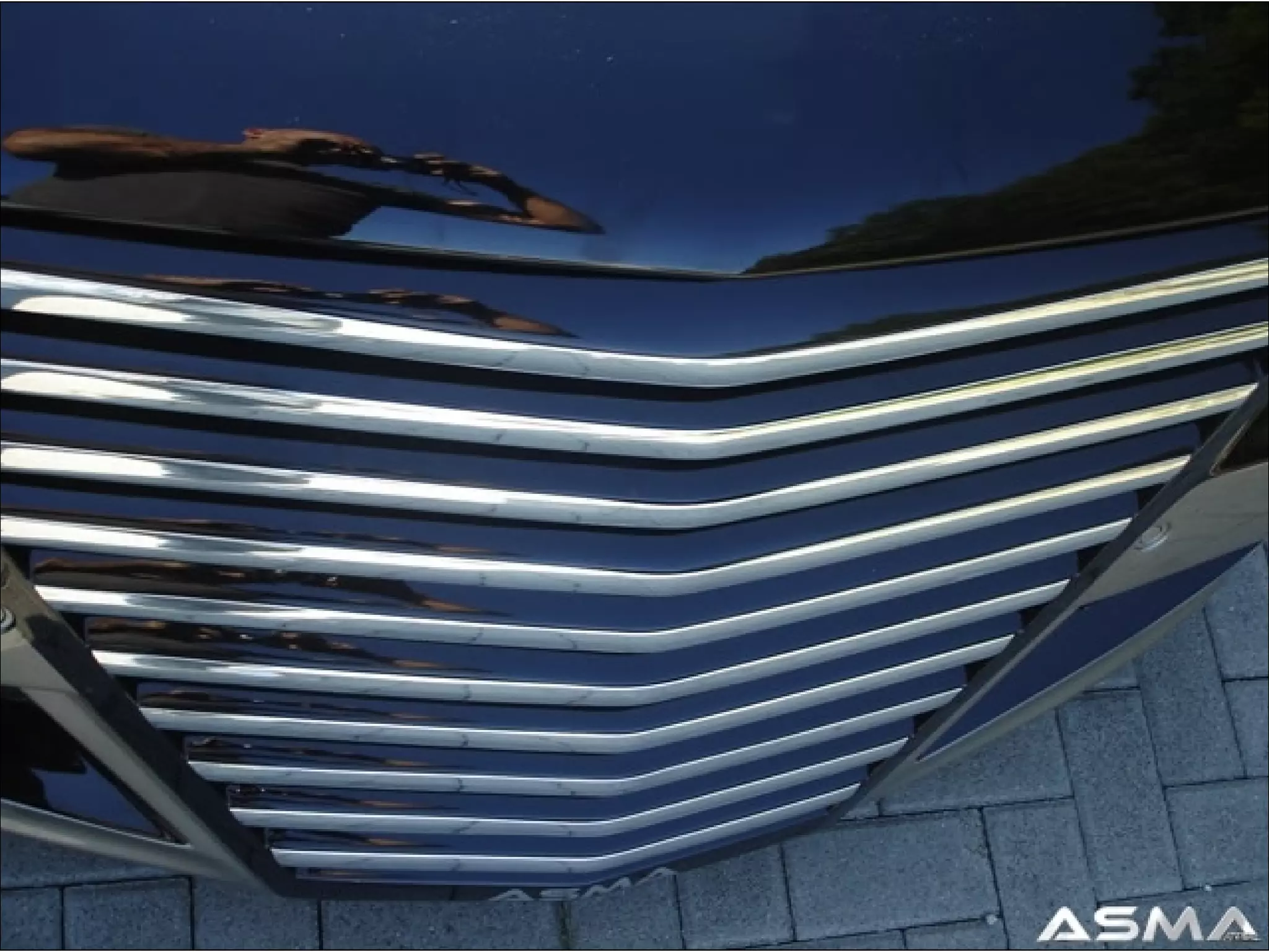 Asma Design Cls Shark | PPT