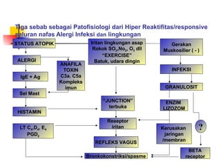 farmakologi dan terapi obat obat anti asma | PPT