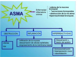 Asma bronquial | PPTX | Lung and Respiratory Health | Diseases and ...