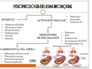 Asma bronquial | PPTX | Lung and Respiratory Health | Diseases and ...