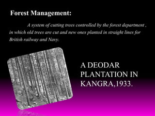 Forest society and colonialism | PPTX