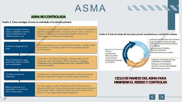 ASMA GINA 2024 [Autoguardado] (1)2024.pptx