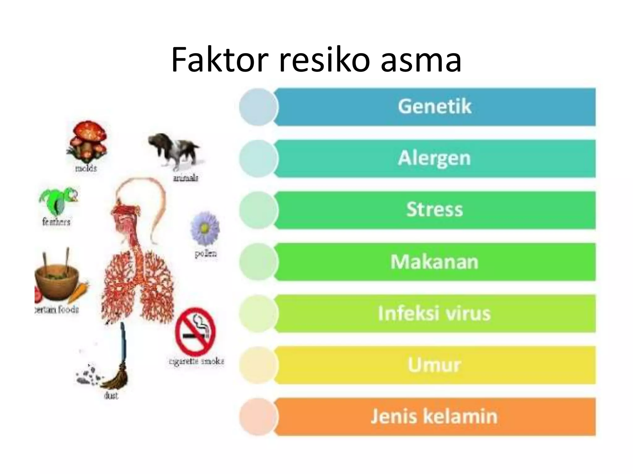 ASMA: patofisiologi Asthma | PPTX