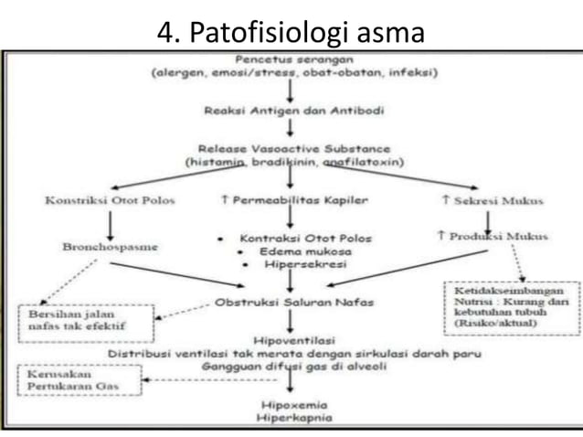 ASMA: patofisiologi Asthma | PPTX