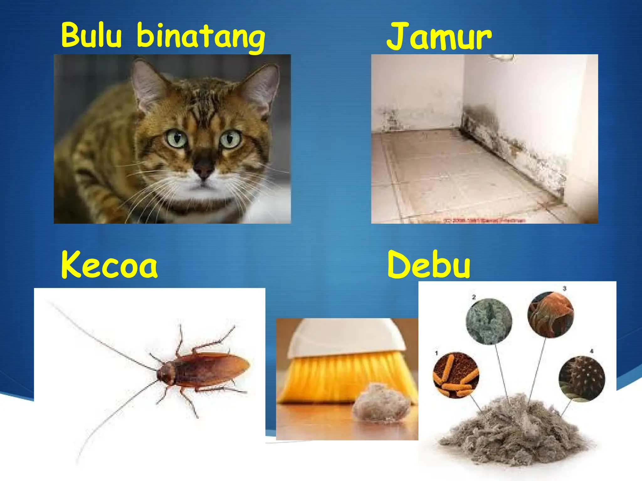 power point tentang asma dan ppok/penyakit paru | PPT
