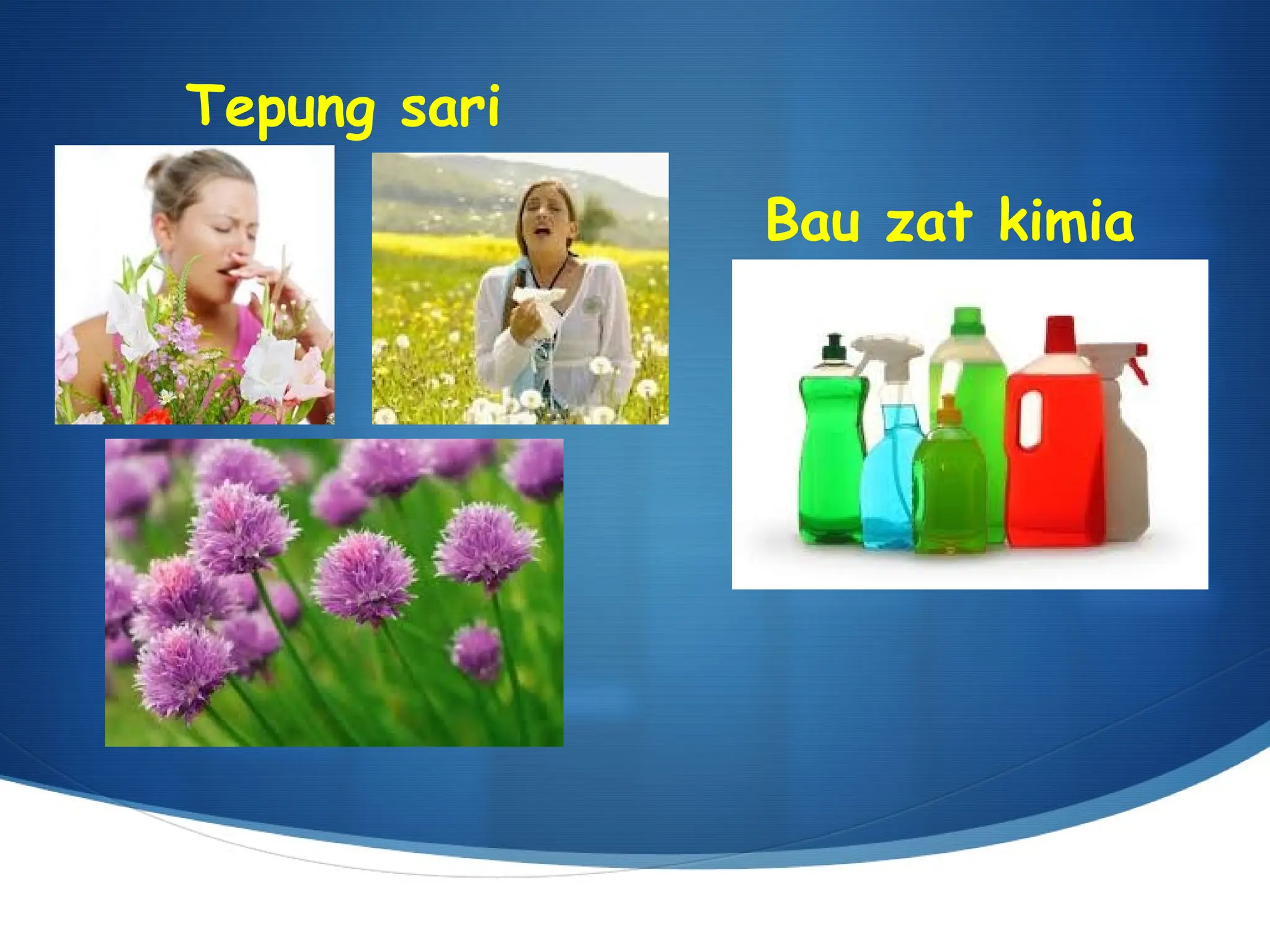 power point tentang asma dan ppok/penyakit paru | PPT