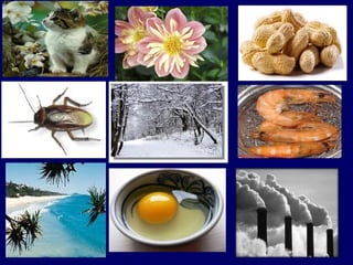 power point tentang asma dan ppok/penyakit paru | PPT