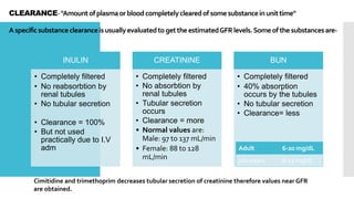 renal function test by Asma ppt | PPT