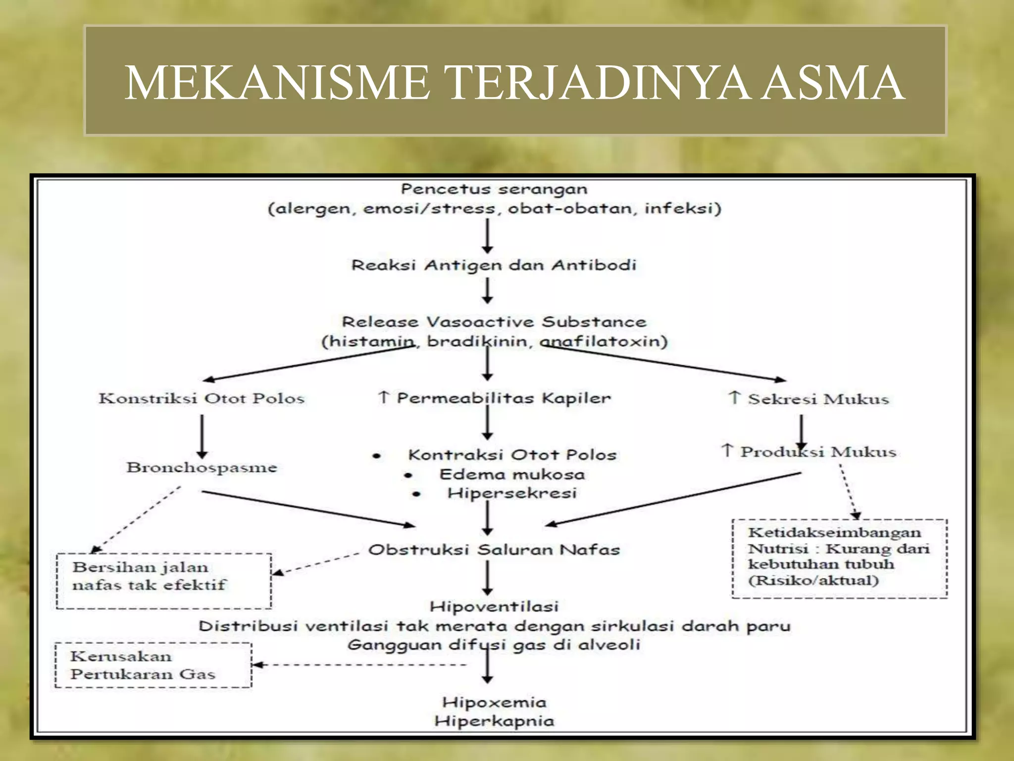 Asma ppt (2) | PPTX