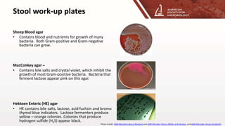 ASM_CPHMC_Case_Study_Salmonella.pptx