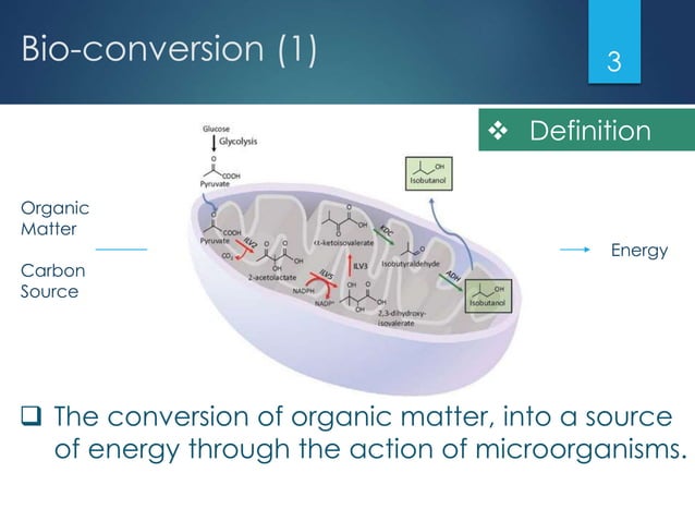 Salient Energy Bio-Conversion Processes Limiting Gas Turbine Engine ...