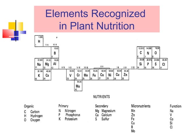 Micronutrients & Enzymes | PPT
