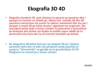 Asmp ultratingujt-pjesa-fizike | PPTX